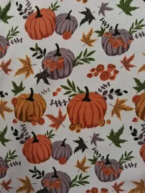 Rare Editions | Dresses | Girls Fall Dress Rare Editions Size 6x ...